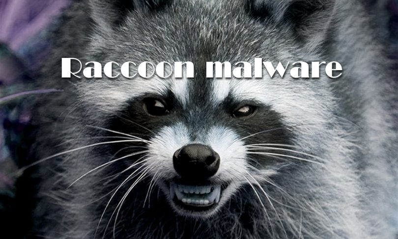 Raccoon malware steals data from 60 different applications