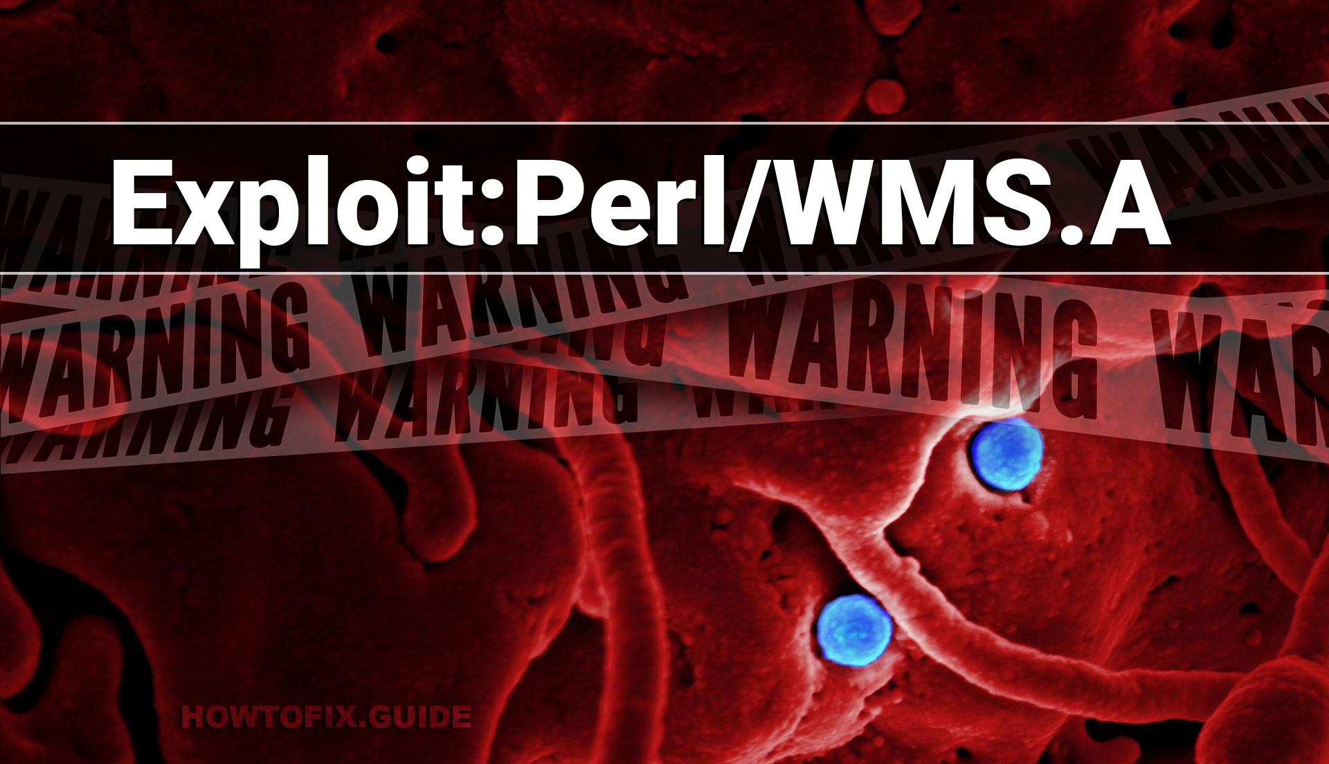Exploit:Perl/WMS.A — Virus Removal Guide