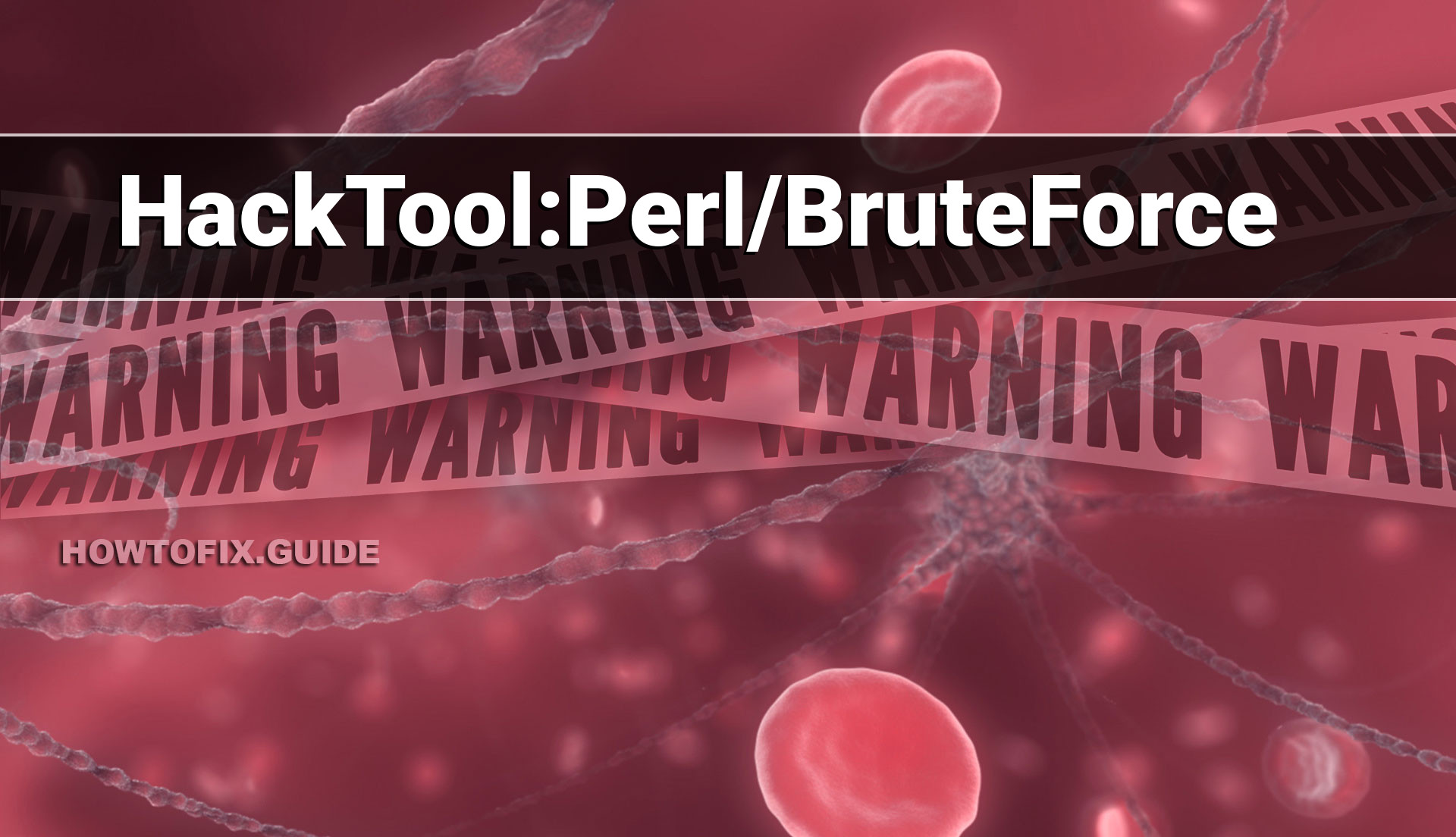 HackTool:Perl/BruteForce — Virus Removal Guide