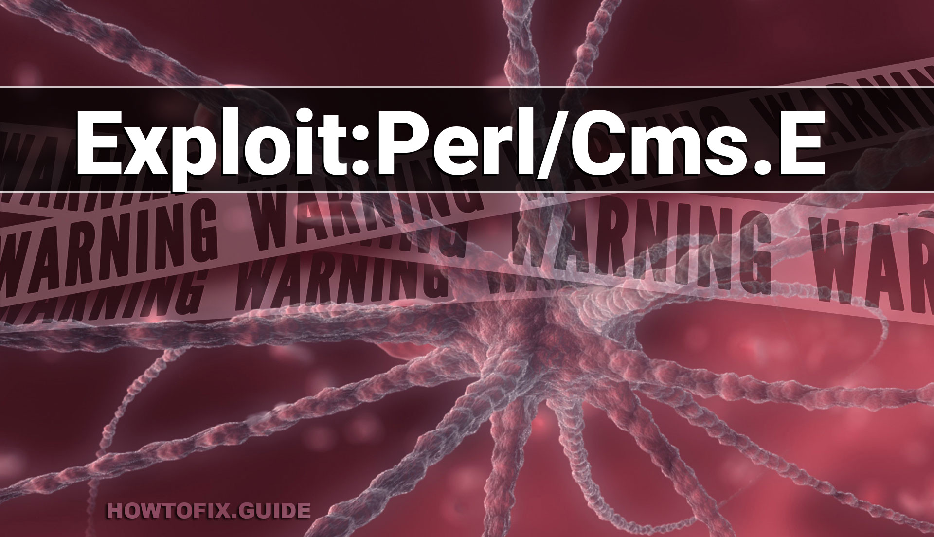Exploit:Perl/Cms.E — Virus Removal Guide