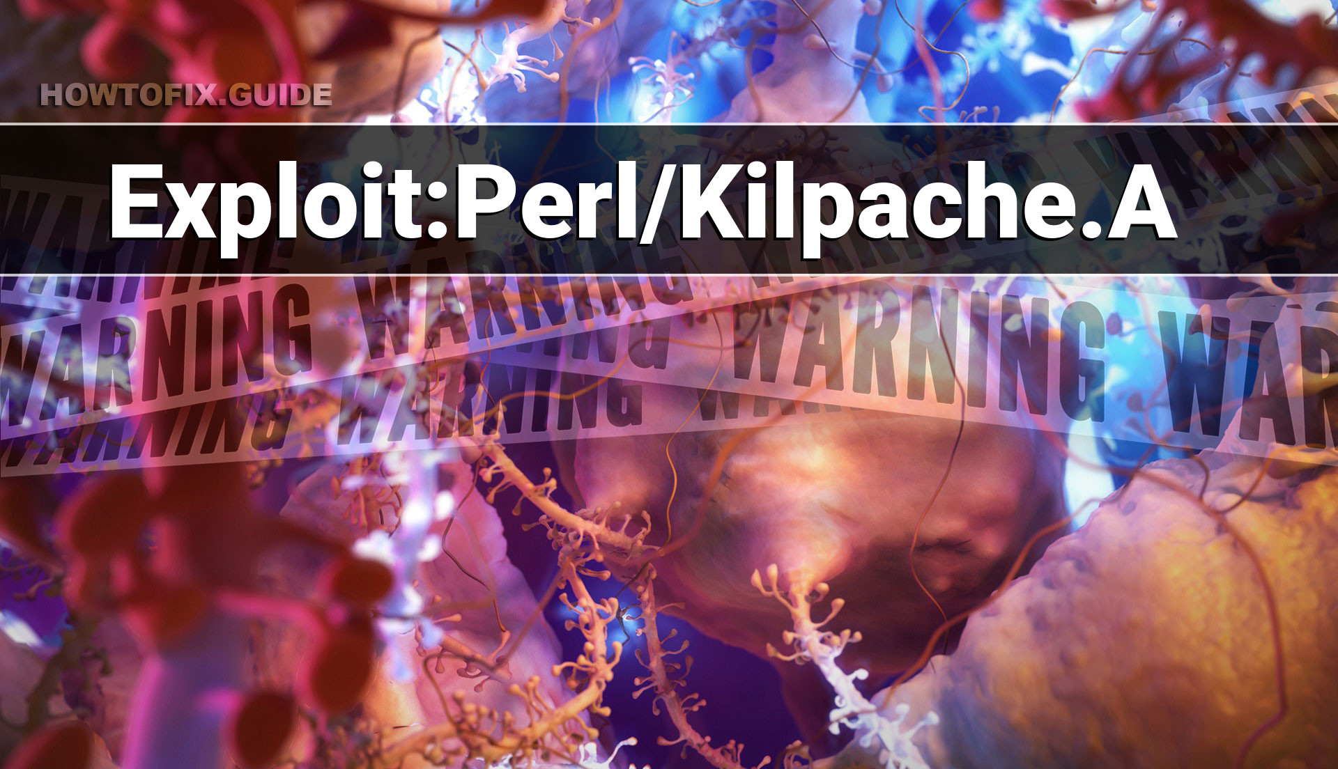 Exploit:Perl/Kilpache.A — Virus Removal Guide