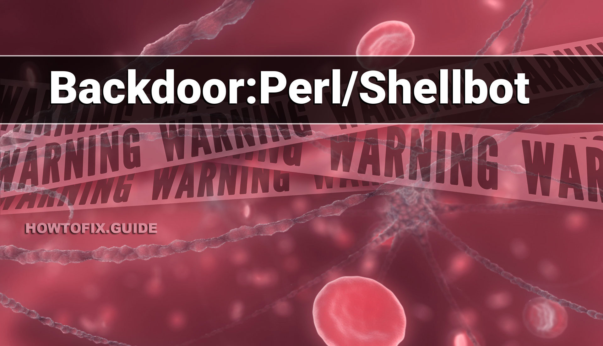 Backdoor:Perl/Shellbot (Shellbot Backdoor) — Virus Removal Guide