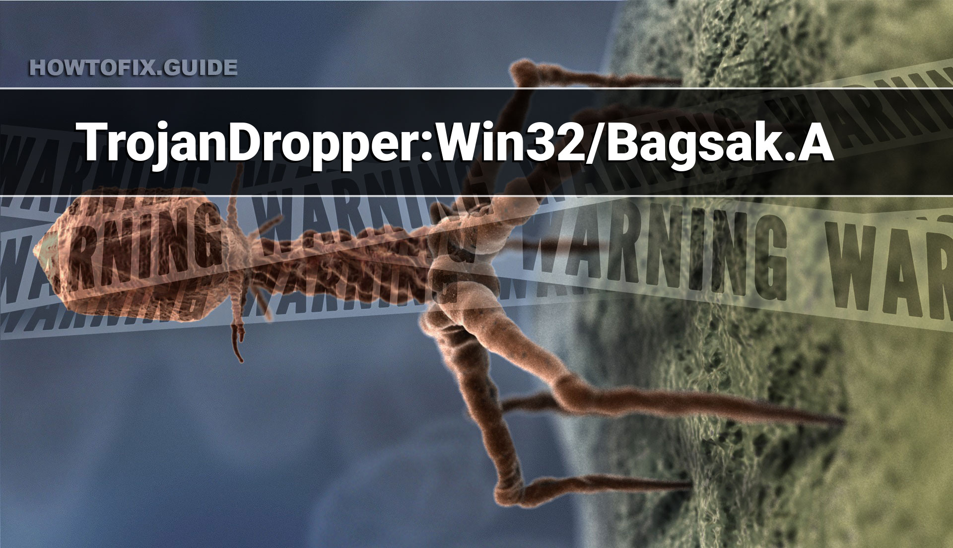 TrojanDropper:Win32/Bagsak.A (Bagsak Trojan Dropper) — Virus Removal Guide