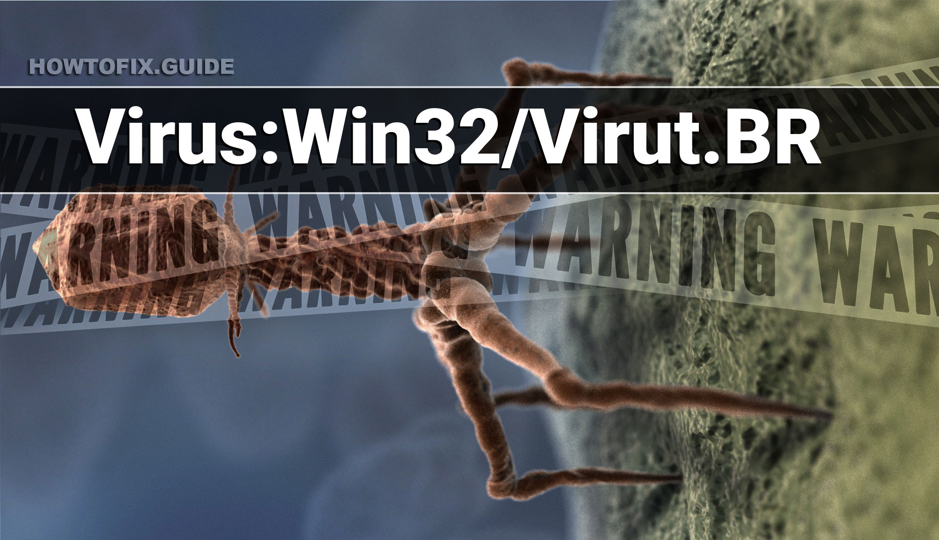 Virus:Win32/Virut.BR (Virut Virus) — Virus Removal Guide