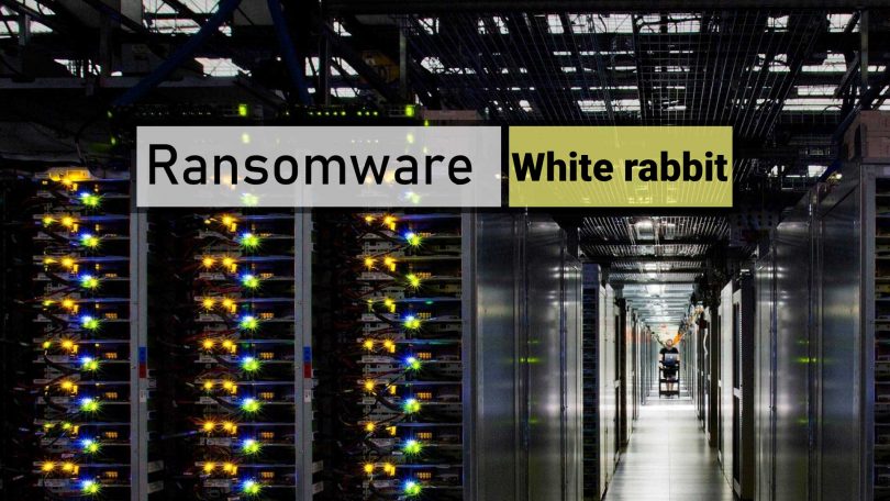 WHITE RABBIT Ransomware (.scrypt Files) — Knock, Knock. Follow the ...