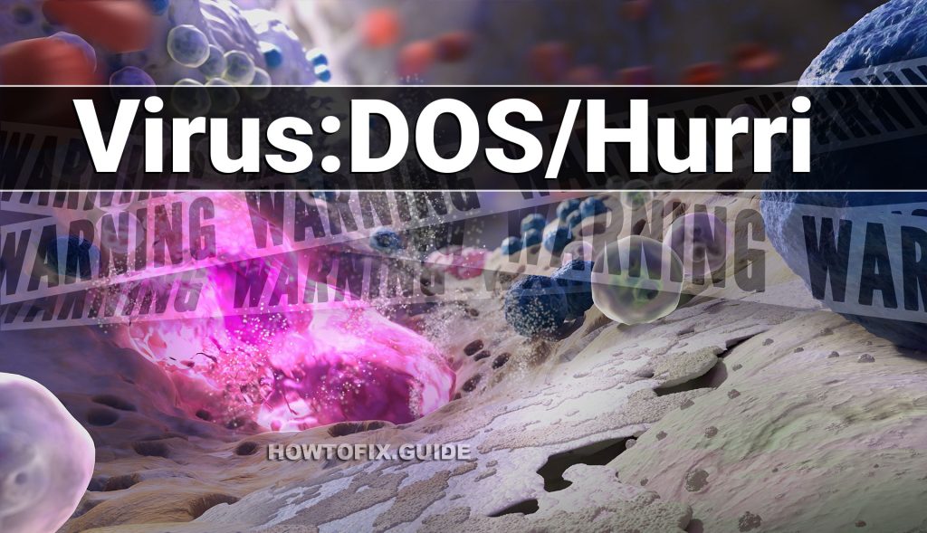 Virus:DOS/Hurri — Hurri Virus Removal Guide