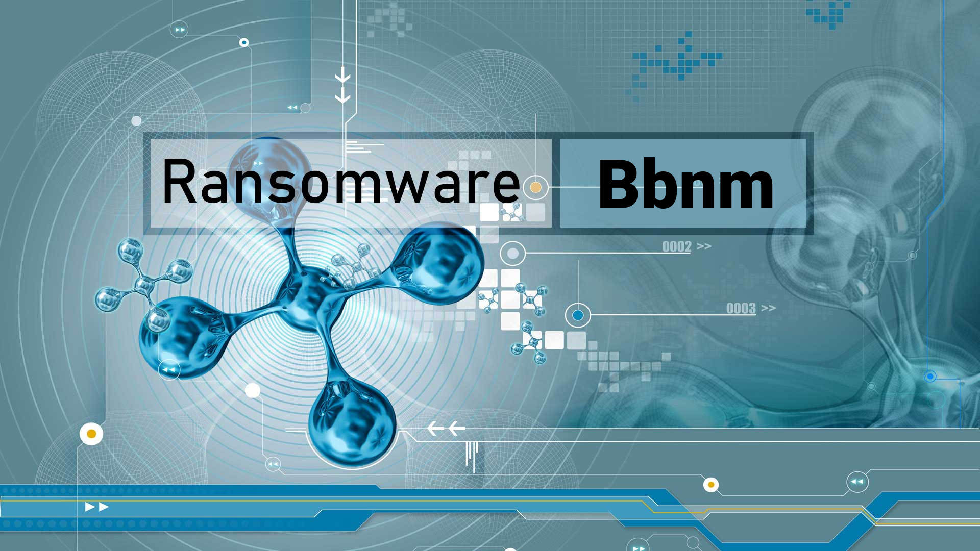 BBNM VIRUS (.bbnm FILE) RANSOMWARE — FIX & DECRYPT DATA