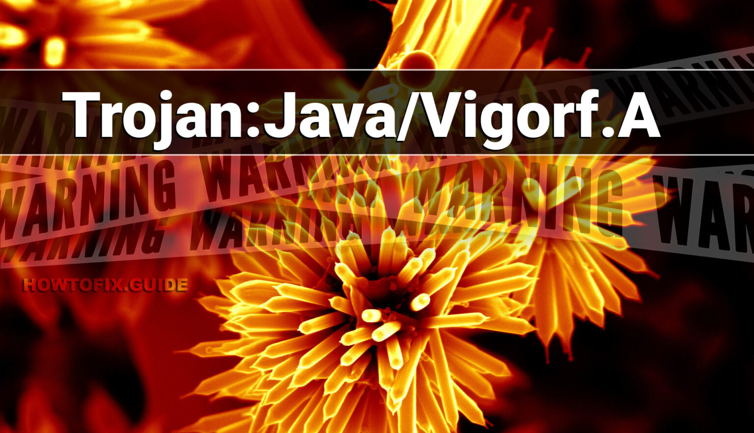 Trojan:Java/Vigorf.A — Vigorf Trojan Removal Guide