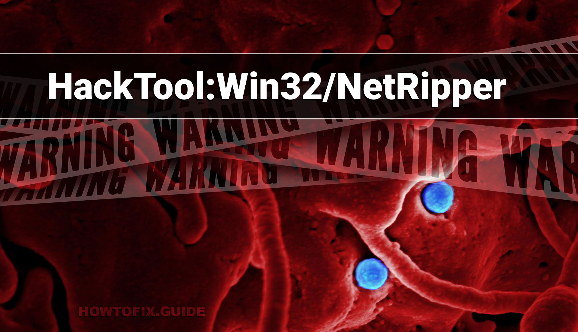 HackTool:Win32/NetRipper — NetRipper HackTool Removal Guide