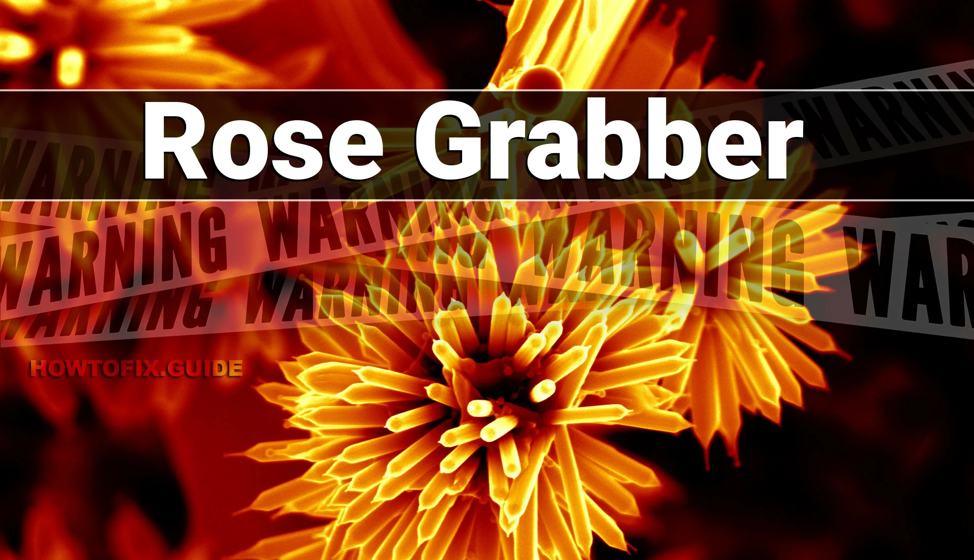 Rose Grabber Malware Removal