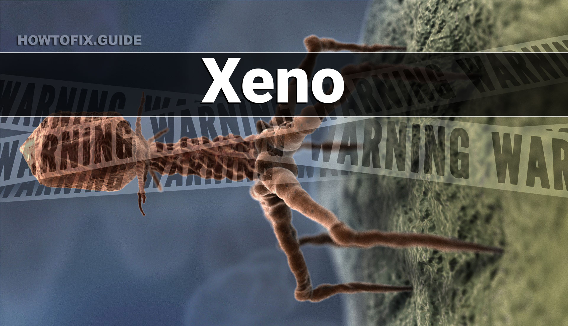 Xeno RAT Malware — How To Fix Guide