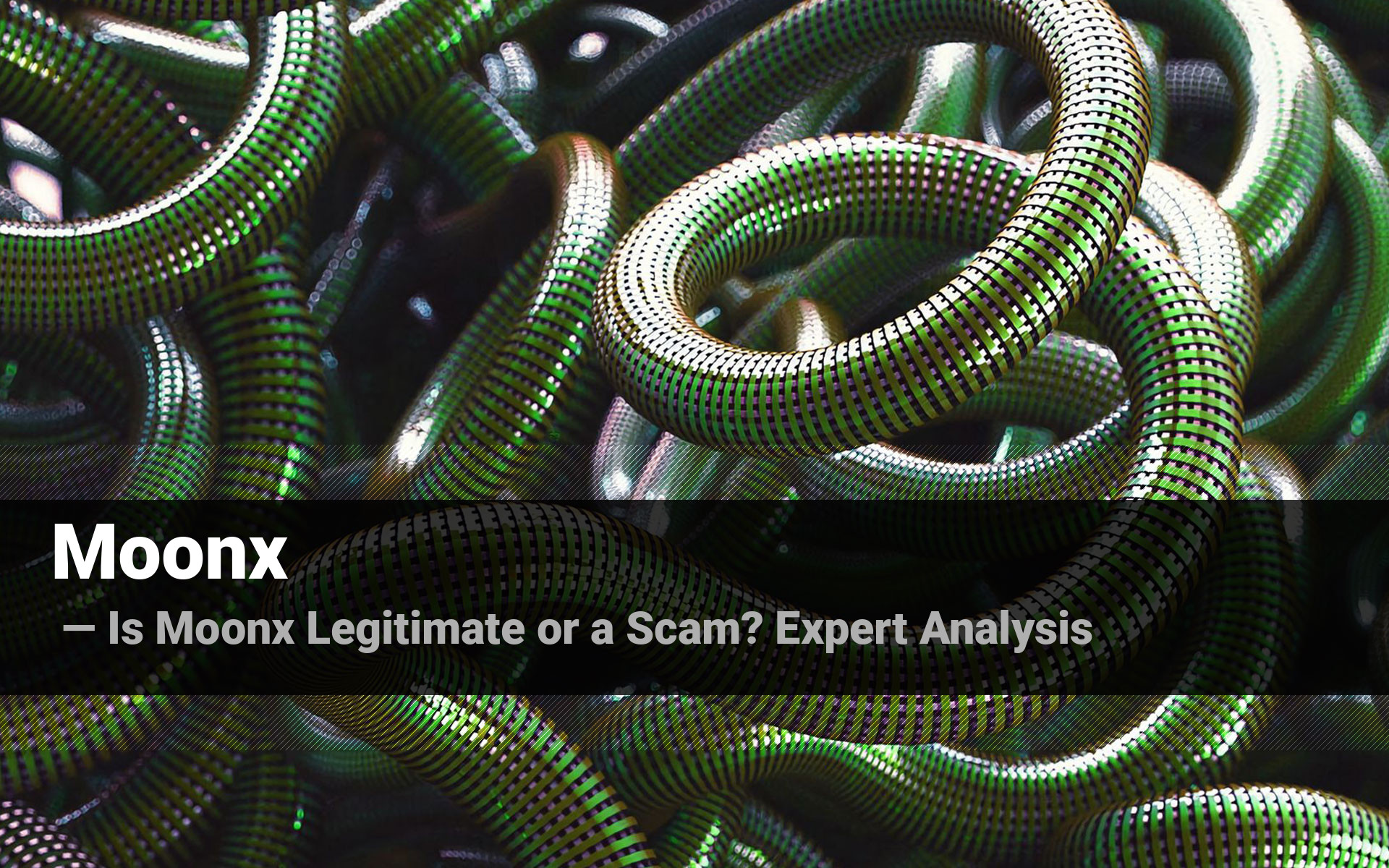 We Investigated Moonx: Legit or Scam? The Facts